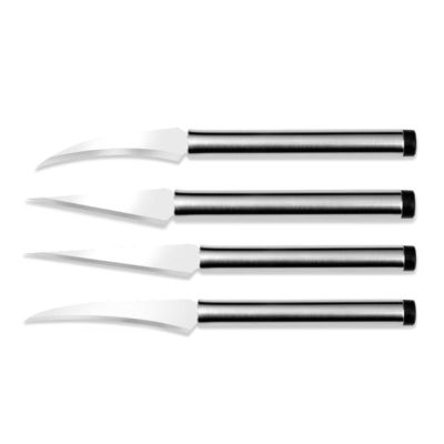 Sinerji 4-piece Chrome Handle Decor Knife Set Price