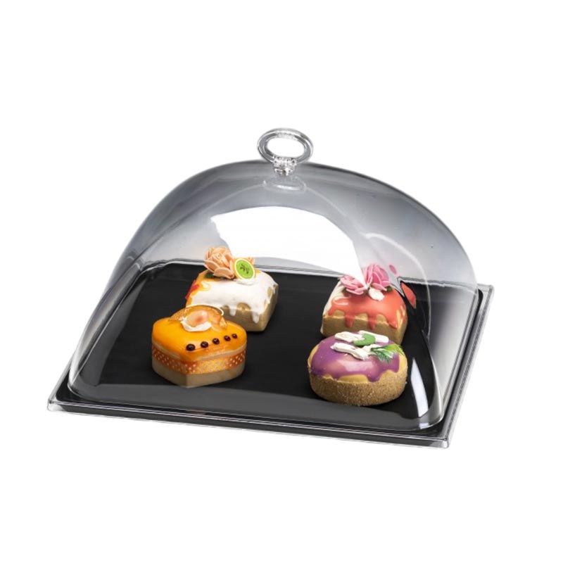 Zicco ZCP-862 Melamine Bottom Storage Container with Polycarbonate Lid, 30x30 cm, Black Price